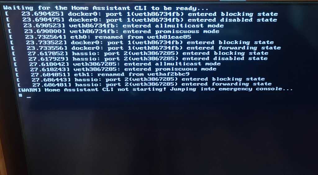 Error Updating From Haos 1402 To 150 Cli Not Starting Home 0659