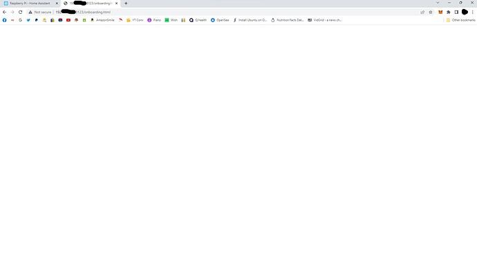 HA on RPi4 boots to blank , white screen on web interface ...