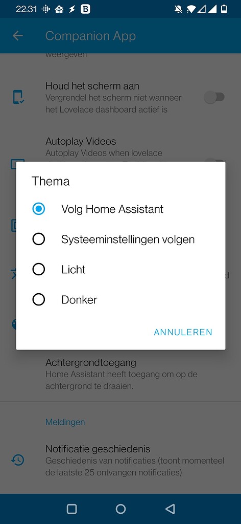 Themes missing in companion app - Home Assistant Companion for Android ...