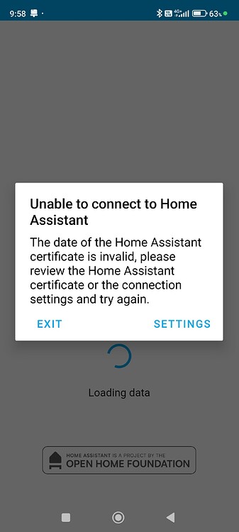 The date of the home assistant is invalid - Configuration - Home ...