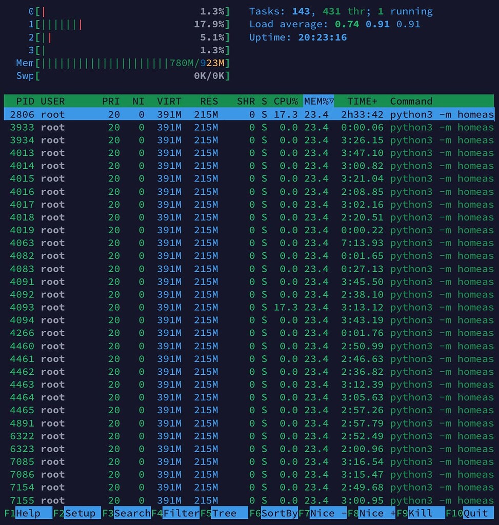 Htop full of config commands eating much Memory - Configuration - Home ...