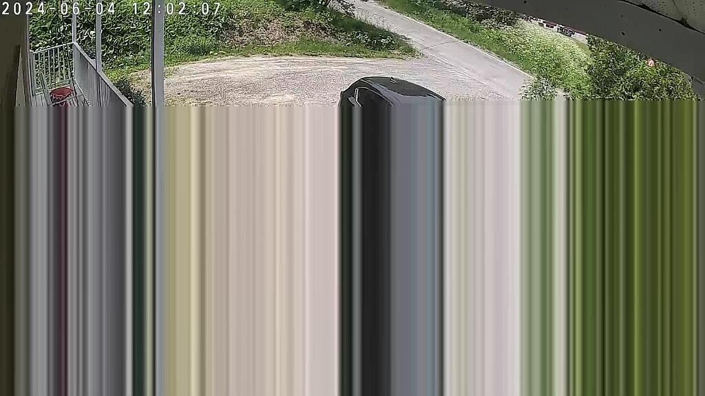 Weird Bugged image With Tappo Camera and deepstack - Configuration ...