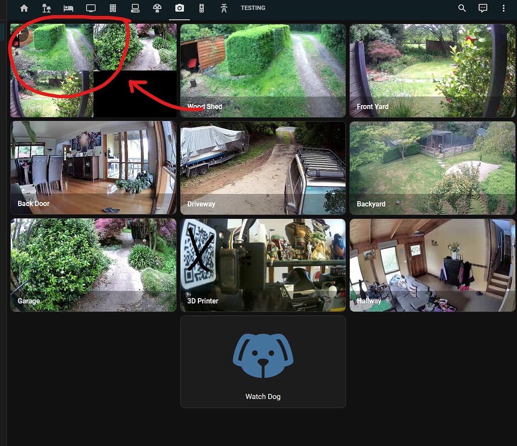 Frigate Birdseye Bigger Card Option Third Party Integrations Home Assistant Community