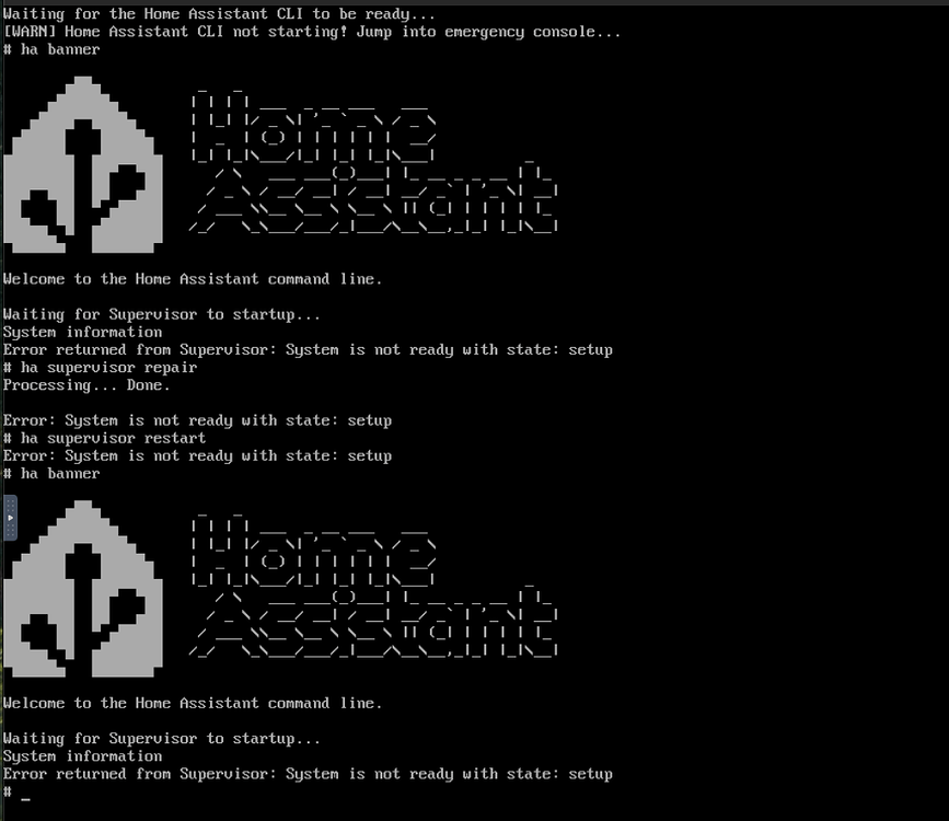 Supervisor won't start - system is not ready with state: setup - Page 2 - Home Assistant OS ...