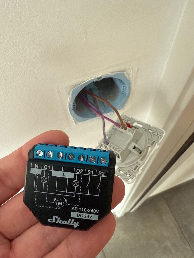 Issue Connecting Shelly 2 PM Plus with a Two-Way Switch - Hardware ...