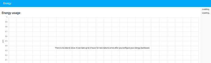 Energy Dashboard error. Constant loading - Configuration - Home ...