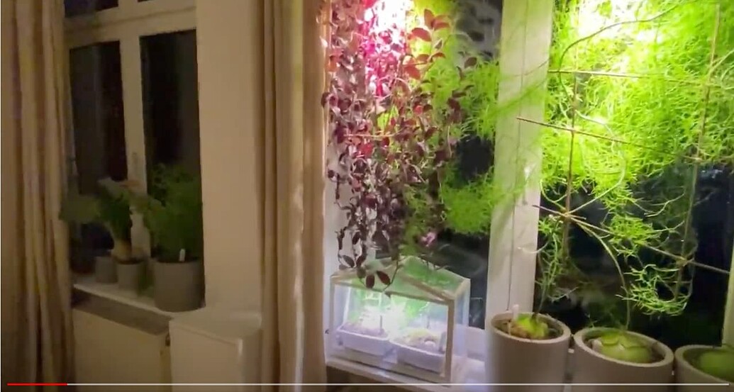 How to Automate Your Indoor Garden with Home Assistant | Advanced ...