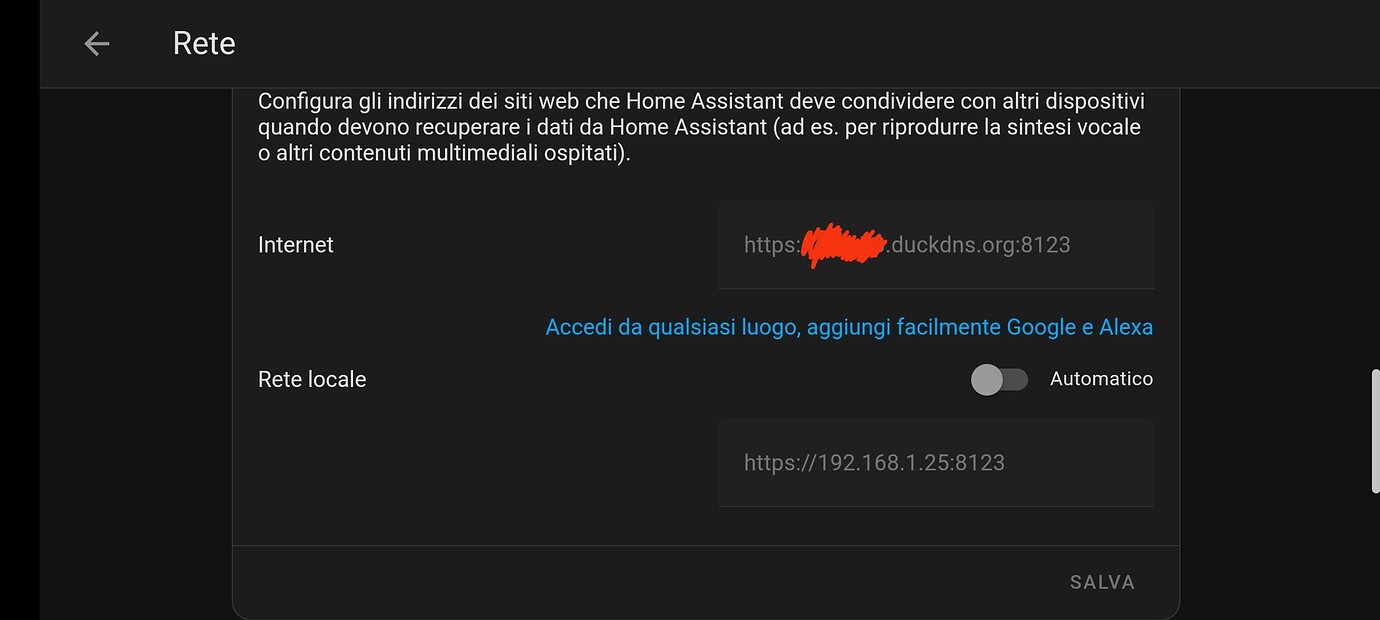 NGINX: API errors? - Configuration - Home Assistant Community