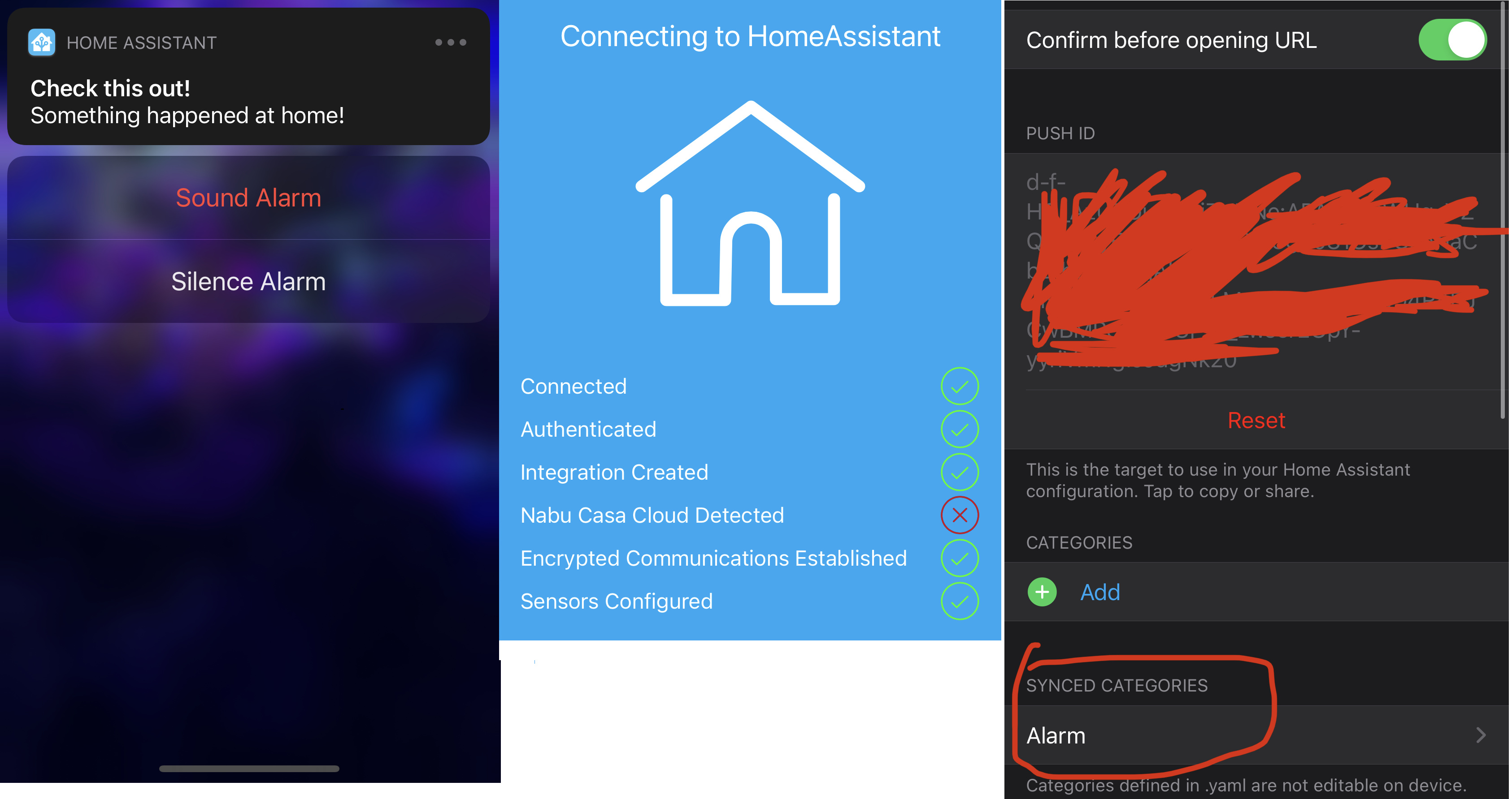 IOS Push Notifications Working But After Opening Companion App Nothing 