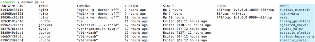 Unexpected docker containers with weird names, like unruffled_kilby ...
