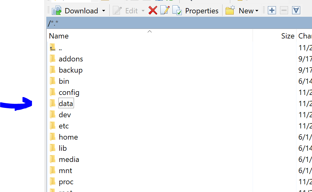 Help Needed In Debugging Lets Encryptduckdns Home Assistant Os