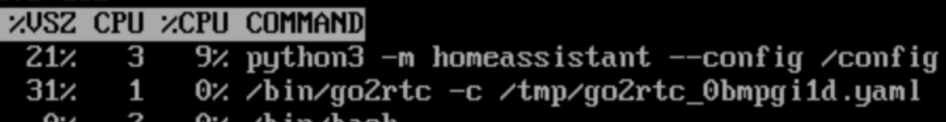 Extremely high CPU usage with HAOS under VirtualBox - Installation ...