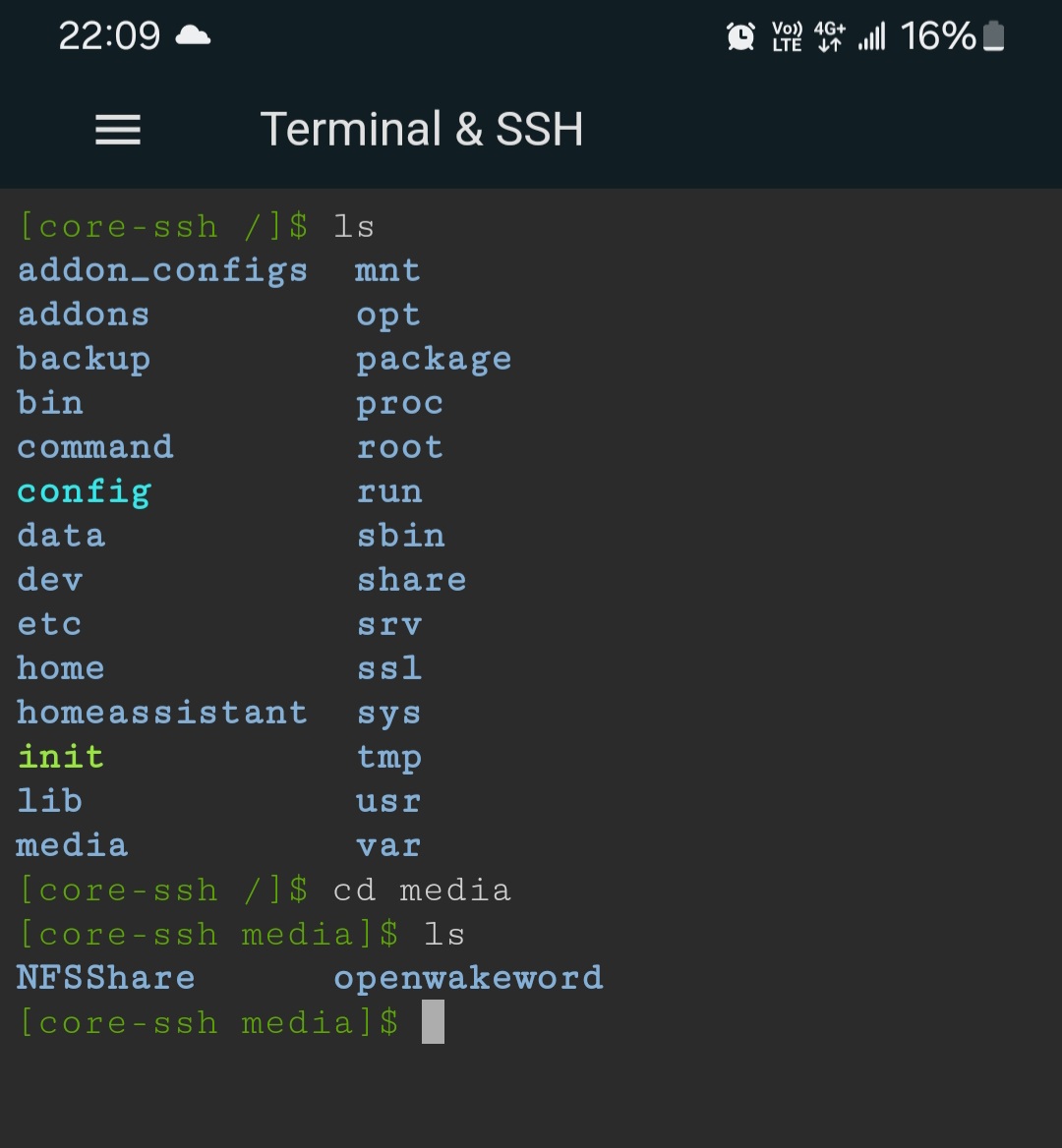 Mounting a CIFS or NFS Share on a NAS to HAOS - Configuration - Home ...