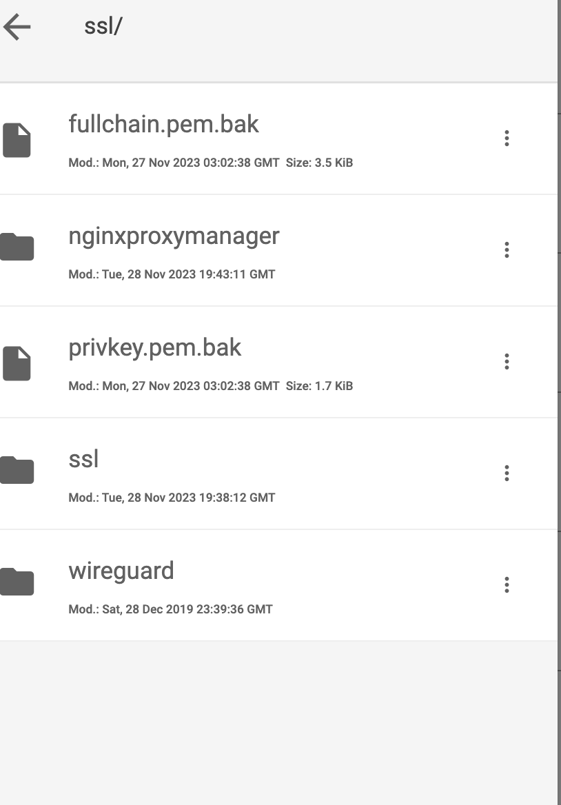 How to have both http and https for INTERNAL LAN use only (no remote access) - is NGINX the ...