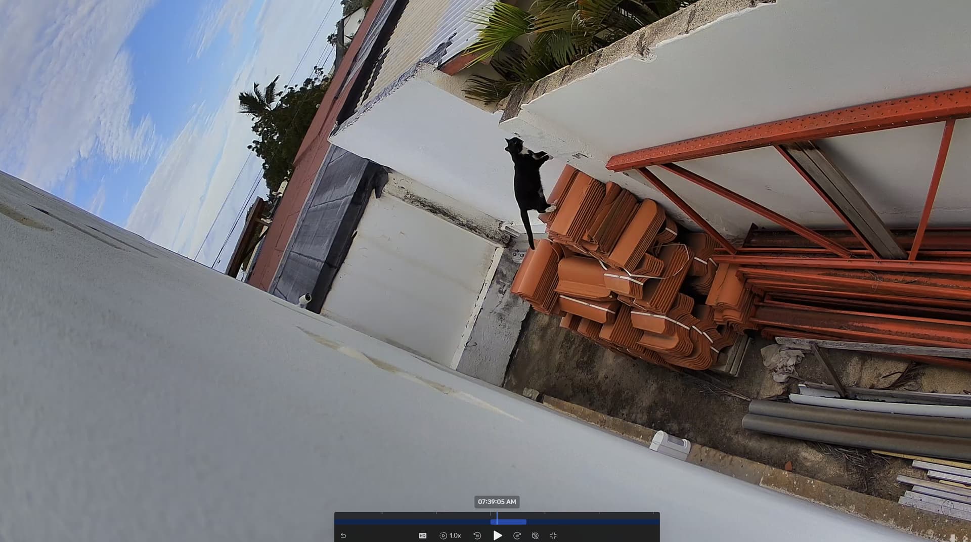 Best AI camera for person detection - Hardware - Home Assistant Community