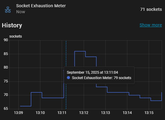Socket exhaustion meter - Development - Home Assistant Community