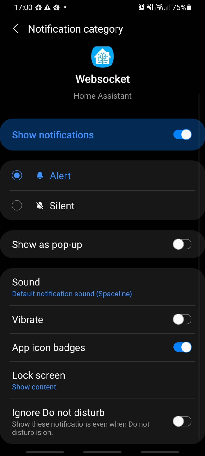 Persistent Notification - Listening to Home Assistant via Websocket - Page 2 - Home Assistant ...