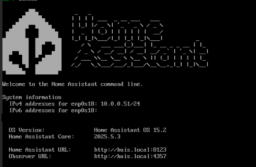 Will There Be An Issue If I Cannot Connect Using Homeassistantlocal8123 Home