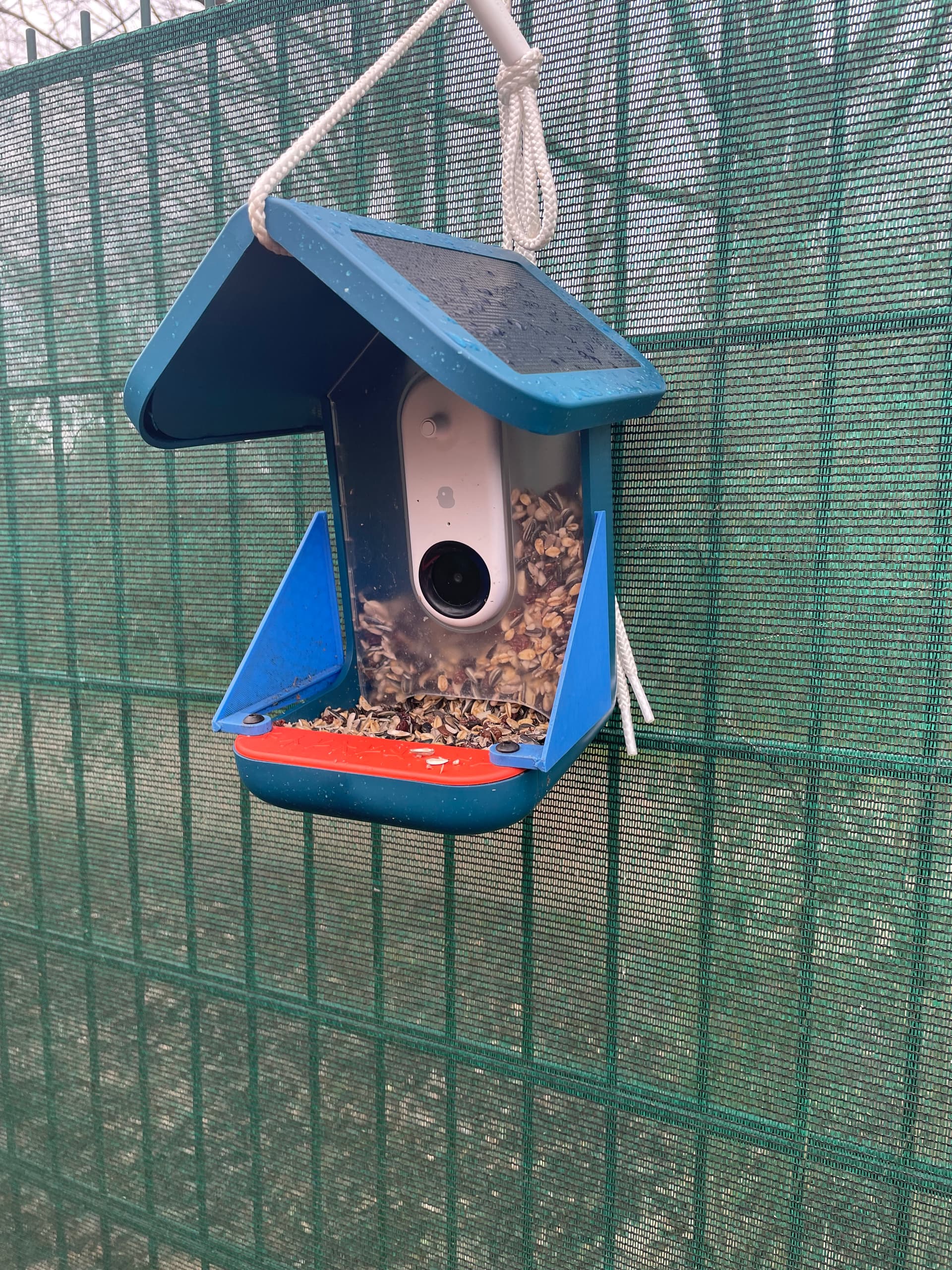 [Custom component] Bird Buddy smart bird feeder - Page 6 - Custom ...
