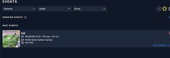 Frigate Configuration Help Configuration Home Assistant Community