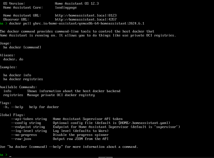 Issue During Installation Installation Home Assistant Community